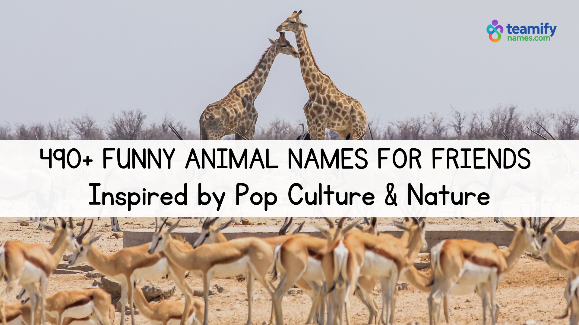 490+ Funny Animal Names for Friends Inspired by Pop Culture & Nature ...