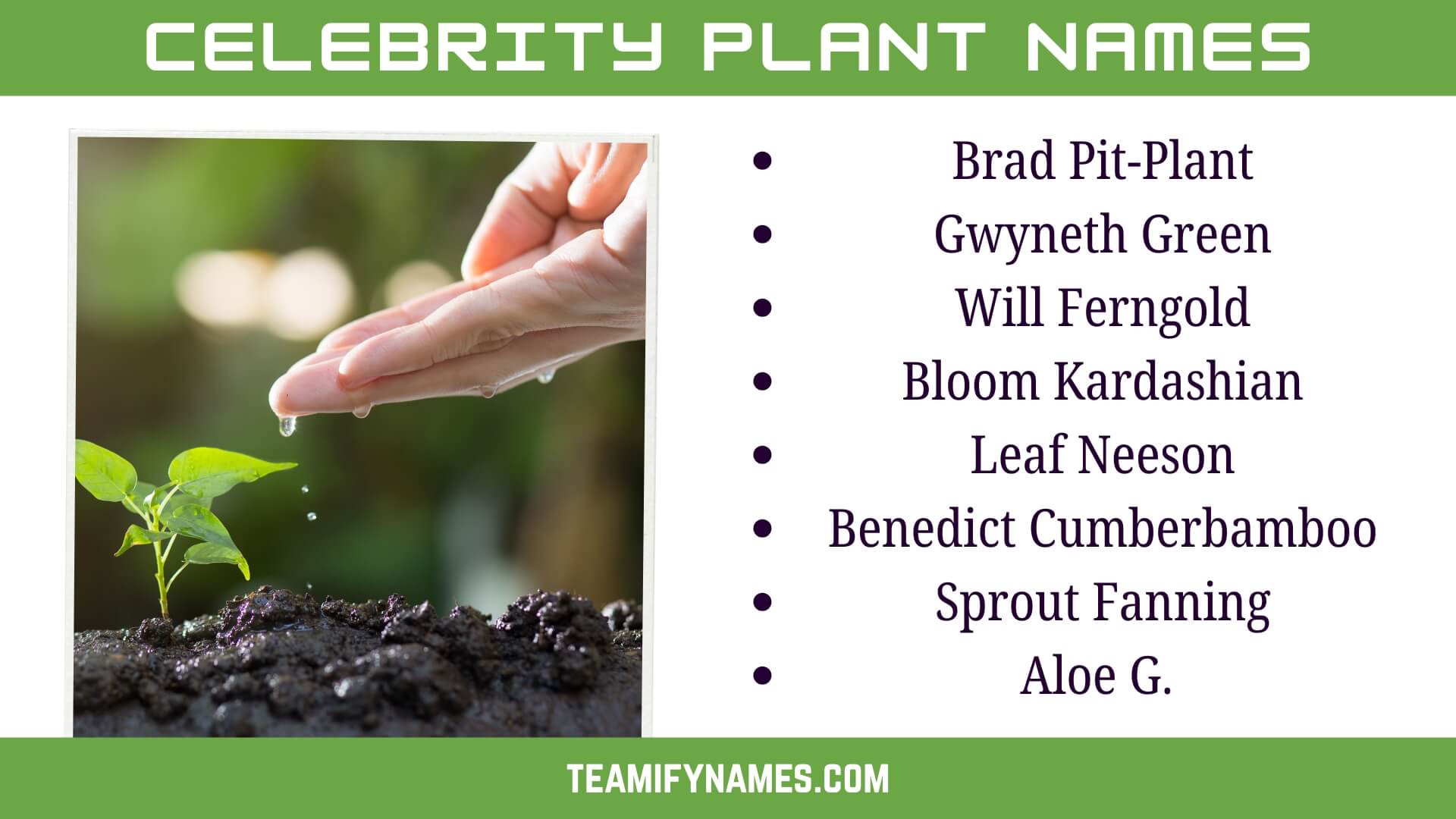 555+ Funny Plant Names to Brighten Your Garden and Your Day – Teamify Names