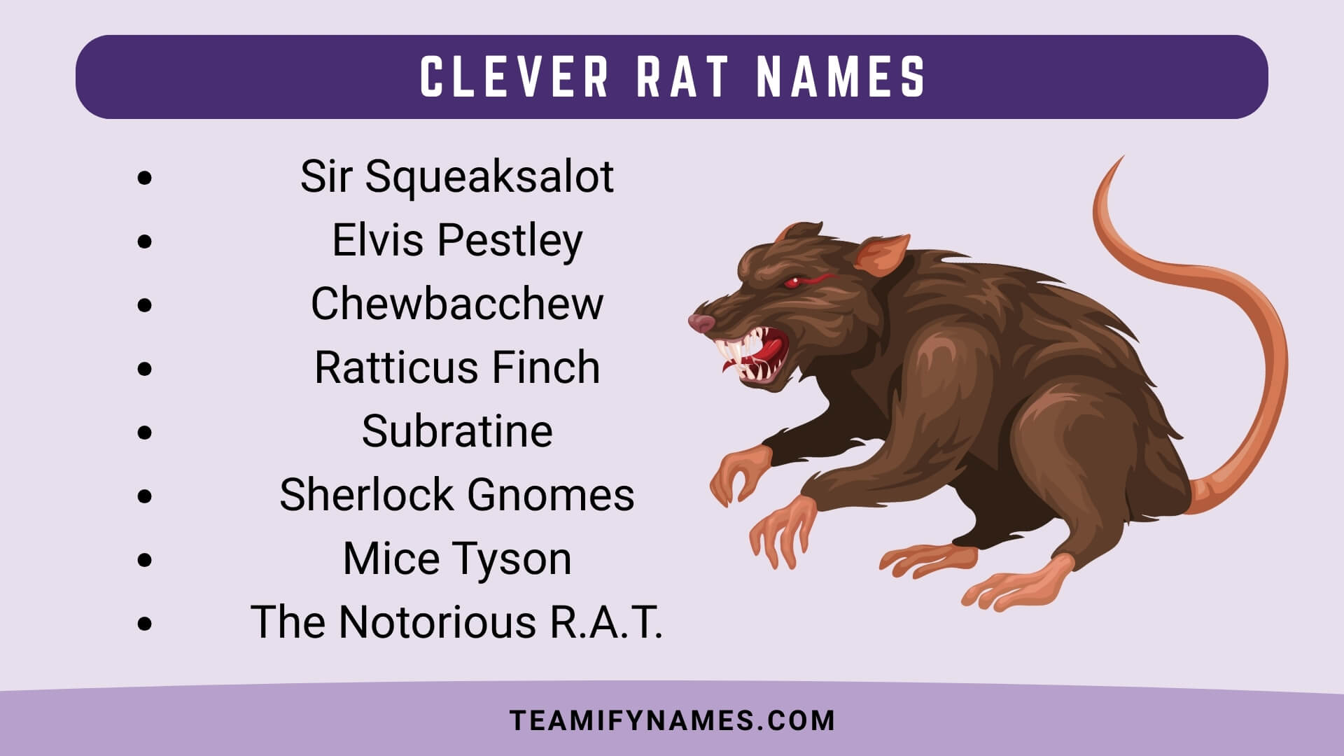 550+ Funny Rat Names That’ll Make You Squeak With Laughter – Teamify Names