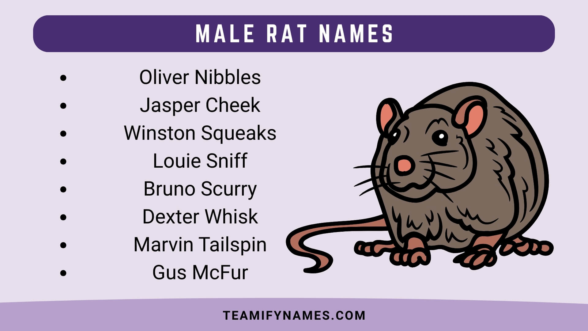 550+ Funny Rat Names That’ll Make You Squeak With Laughter – Teamify Names